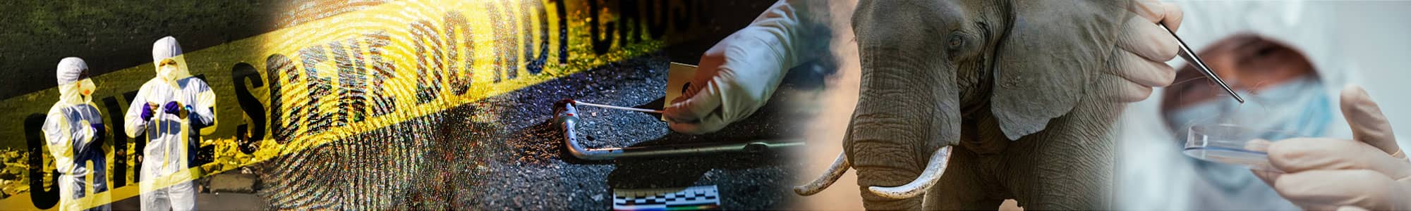 Forensic Response UK (FR-UK) Team