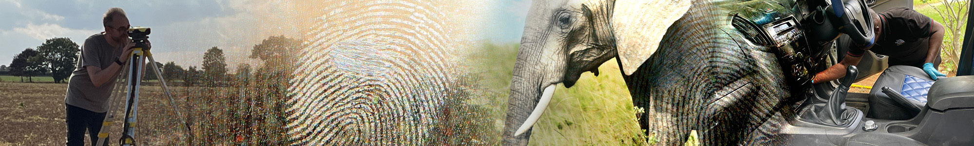 Forensic Investigation Process & Quality